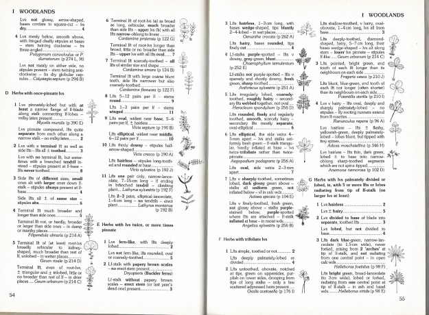 A library for botanists… – Three Points of the Compass