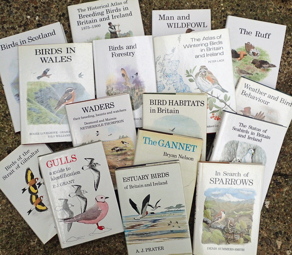 A library for ornithologists… – Three Points of the Compass