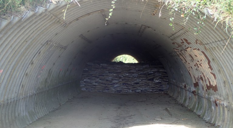 Trail talk: The Wealdway – Three Points of the Compass