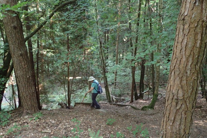 Trail talk: The Wealdway – Three Points of the Compass
