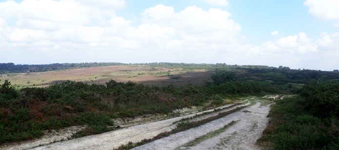 Trail talk: The Wealdway – Three Points of the Compass