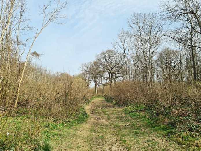 Trail talk: returning to my ‘not-so-local local walk’ – Three Points of ...