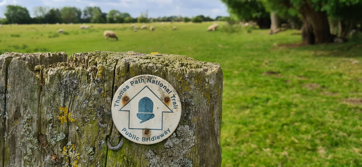 Trail talk: The Thames Path- Bablock Hythe to Osney Bridge, Oxford ...