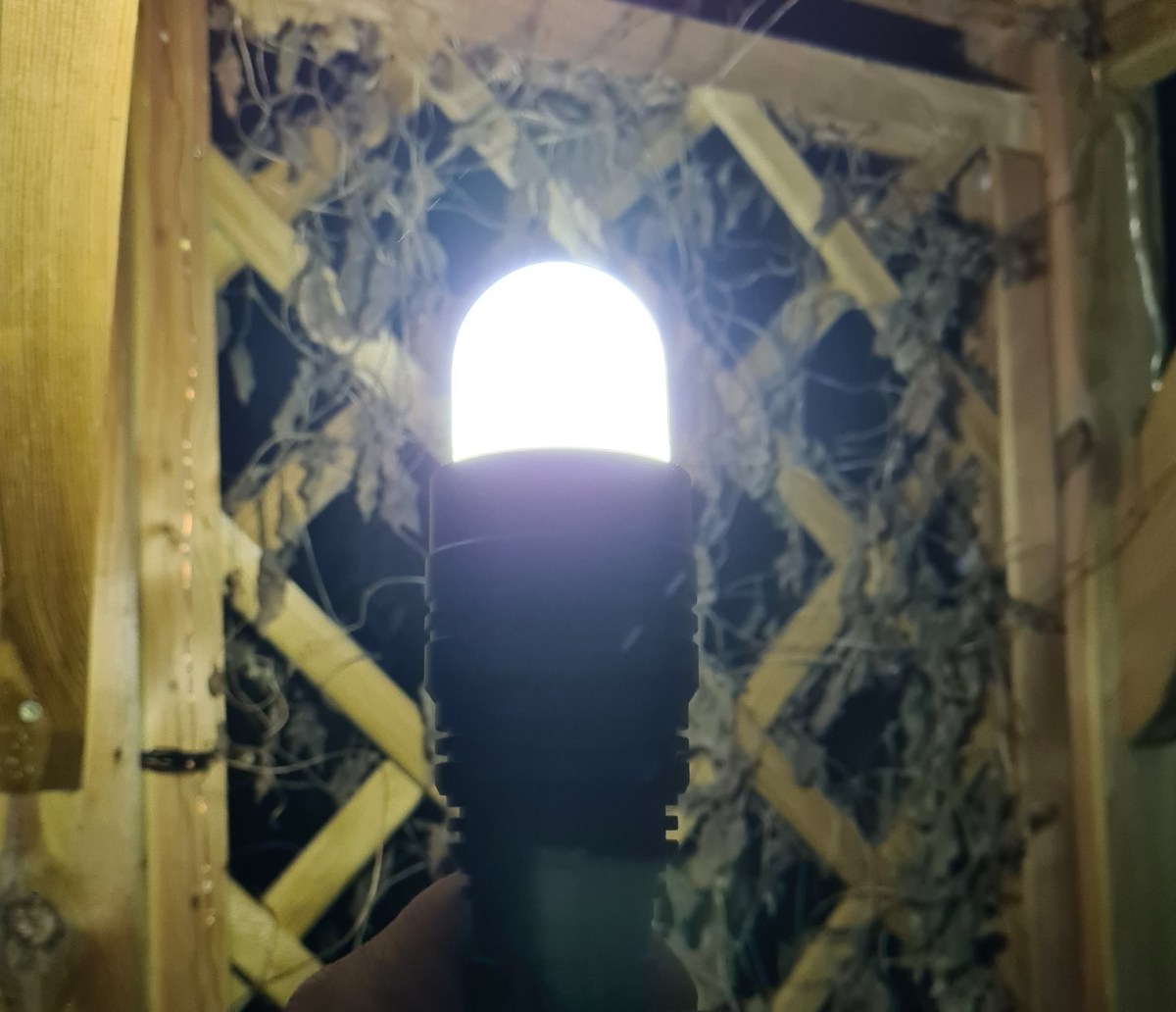 Gear talk: silicone light diffusers