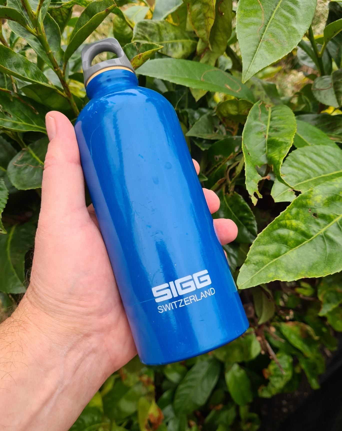 Gear talk: stuff I don't use any more- SIGG Traveller bottles