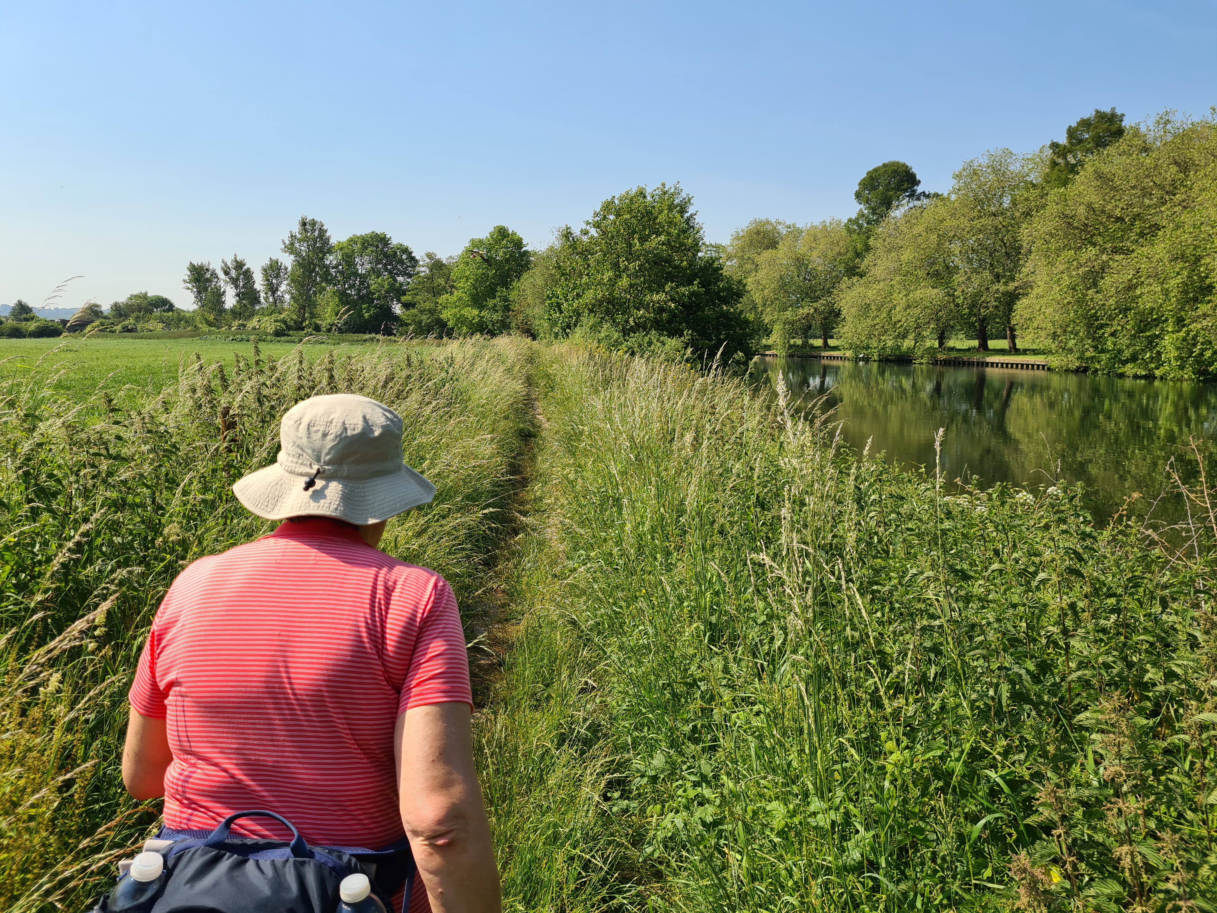 Trail talk: The Thames Path- Windsor to Chertsey