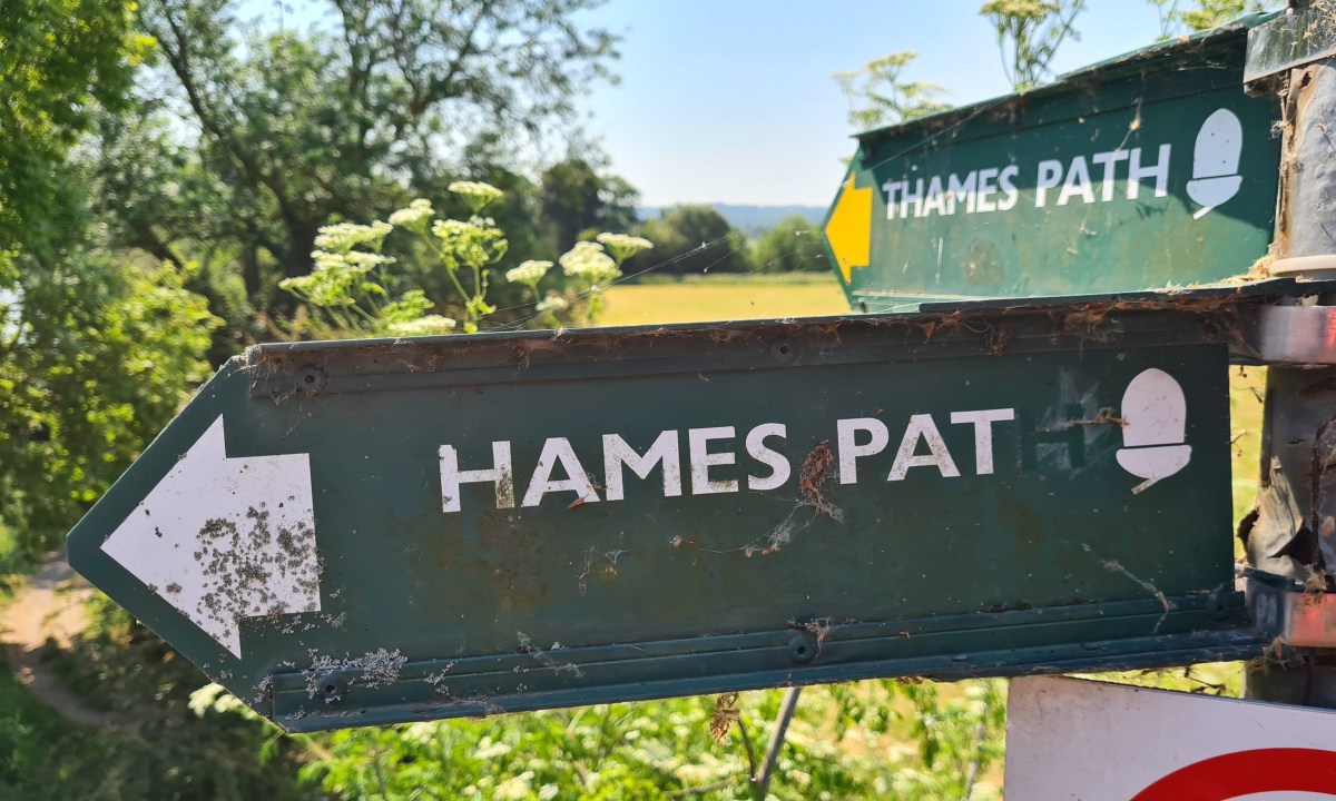 Trail talk: The Thames Path- Windsor to Chertsey